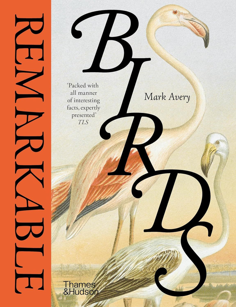 Remarkable Birds | Avery Mark - купить с доставкой по выгодным ценам в ...