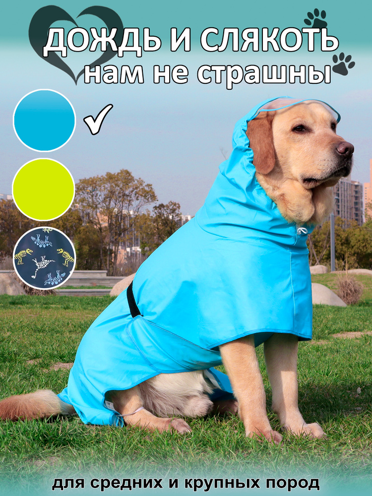 Дождевик-плащ однотонный для собак средних и крупных пород, цвет голубой, размер 5XL, Rexy crew ...