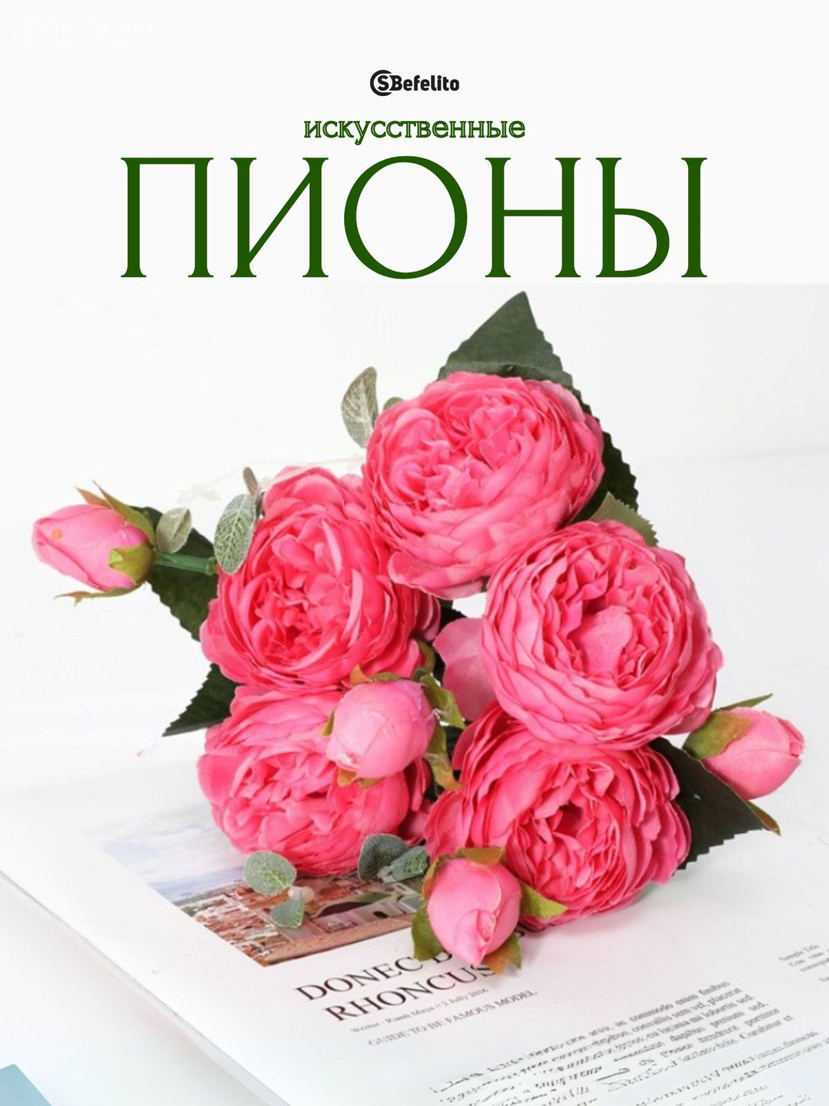 1 OZON 4777929901 1-ozon-4777929901