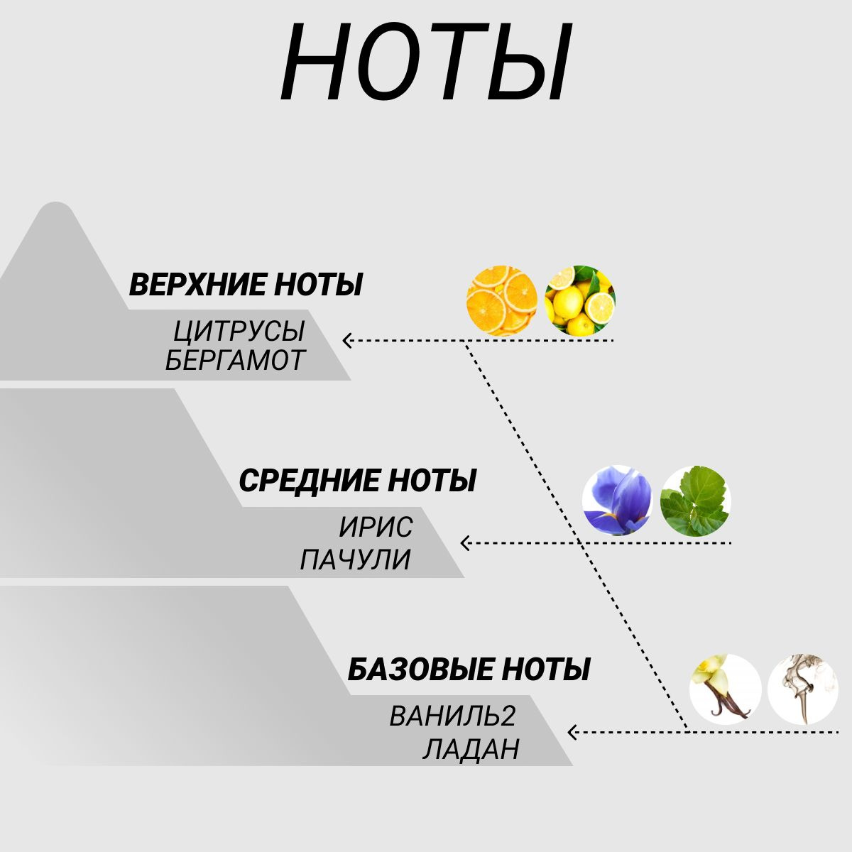 Парфюм Shalimar (Шалимар)/ Духи Шалимар 90мл купить на OZON по низкой ...