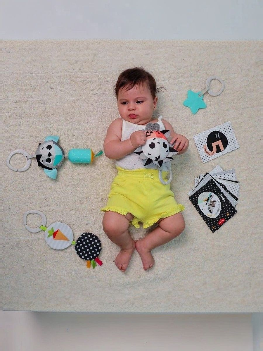 TINY LOVE Подарочный набор развивающих игрушек День и ночь для новорождённых купить на OZON по ...