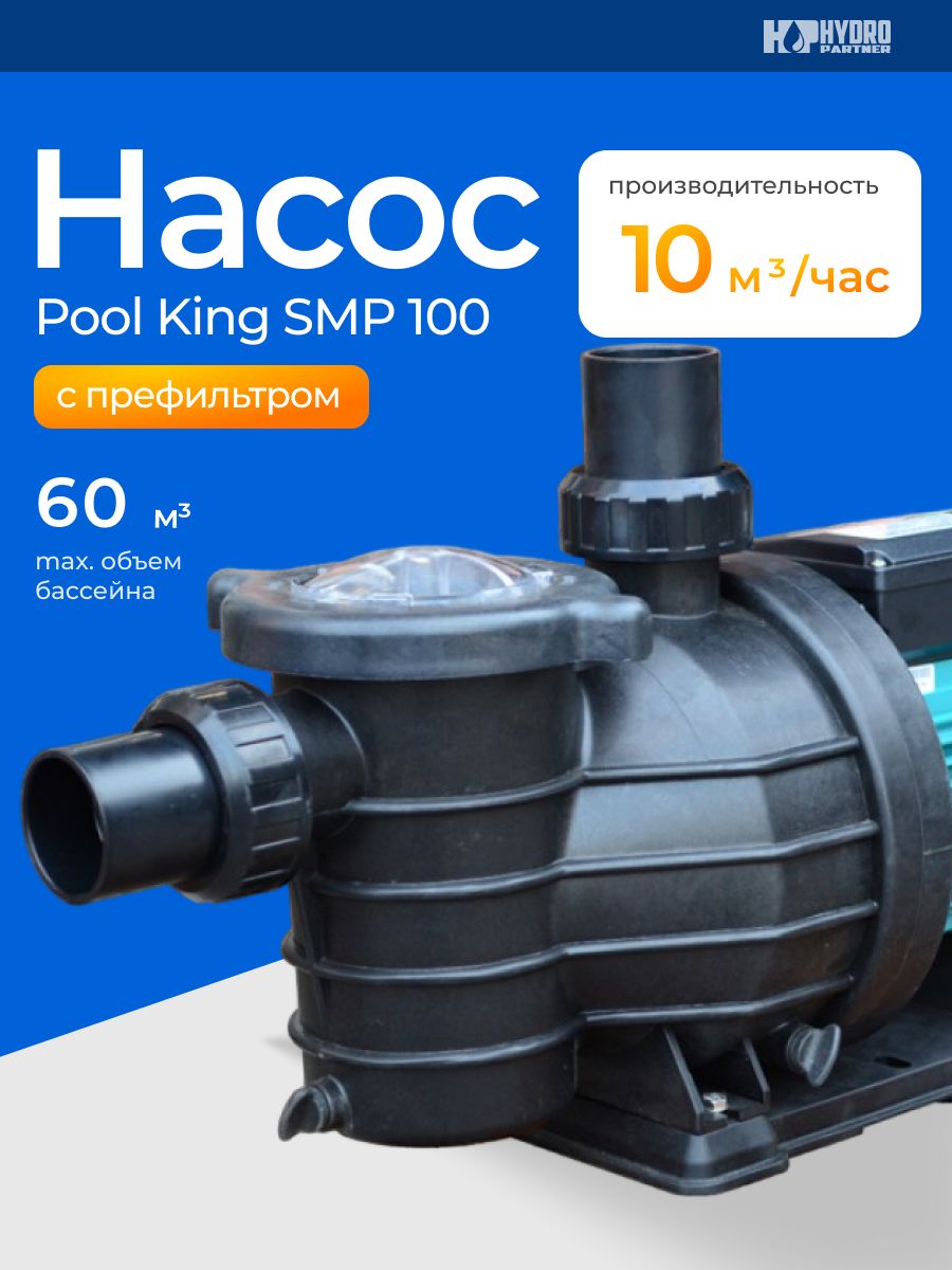 Насос с префильтром для бассейна и пруда Pool King SMP 100 10 м3/час ...