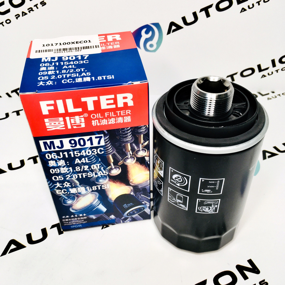 Фильтр масляный ТАНК 300, Haval F7X 2.0л, Haval H9 Tank 300 Хавал Ф7х 2.0 / 1017100XEC01 купить ...