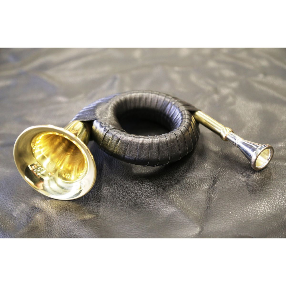 Охотничий рожок Gebr. Stolze HH-E100G - купить с доставкой по выгодным ...