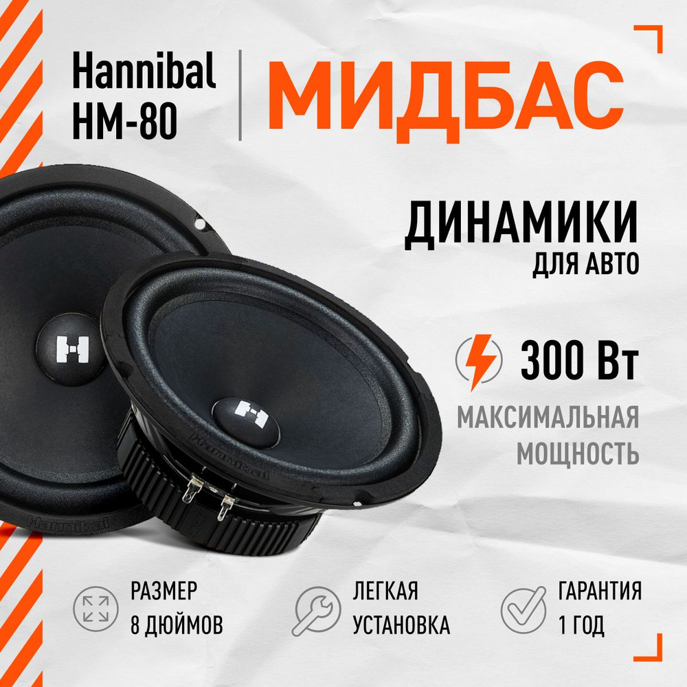 Динамики автомобильные Alphard Hannibal HM-80 Midbass / Мидбас/ колонки автомобильные 20см/ 2шт ...