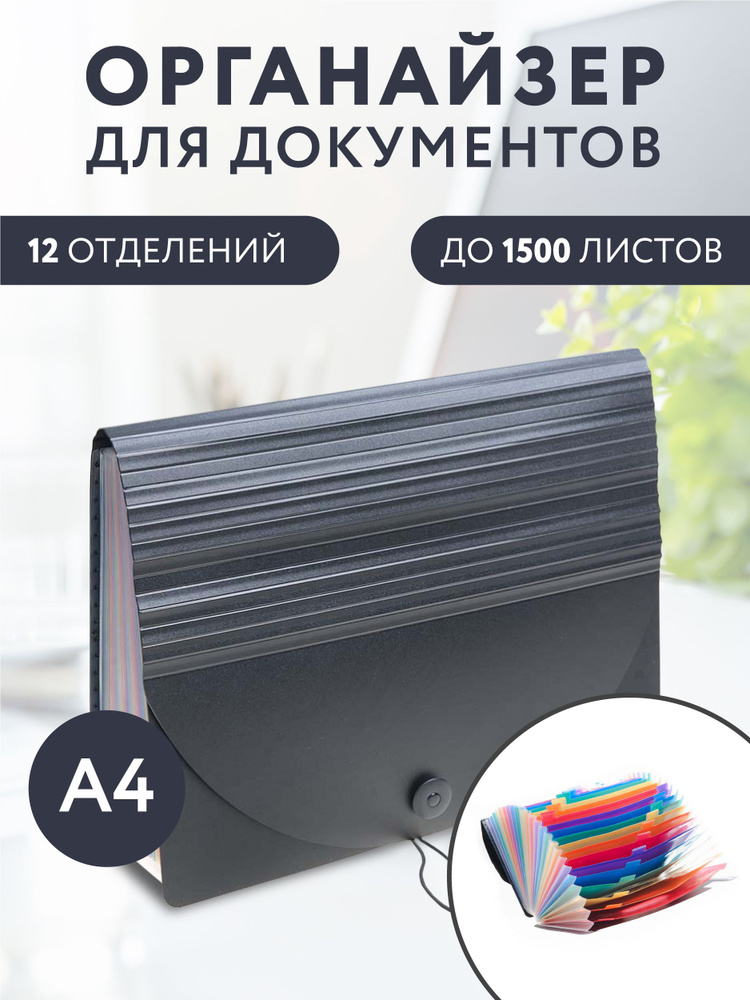 Папка-органайзер A4 (21 × 29.7 см), 1 шт. купить на OZON по низкой цене (2897567067)
