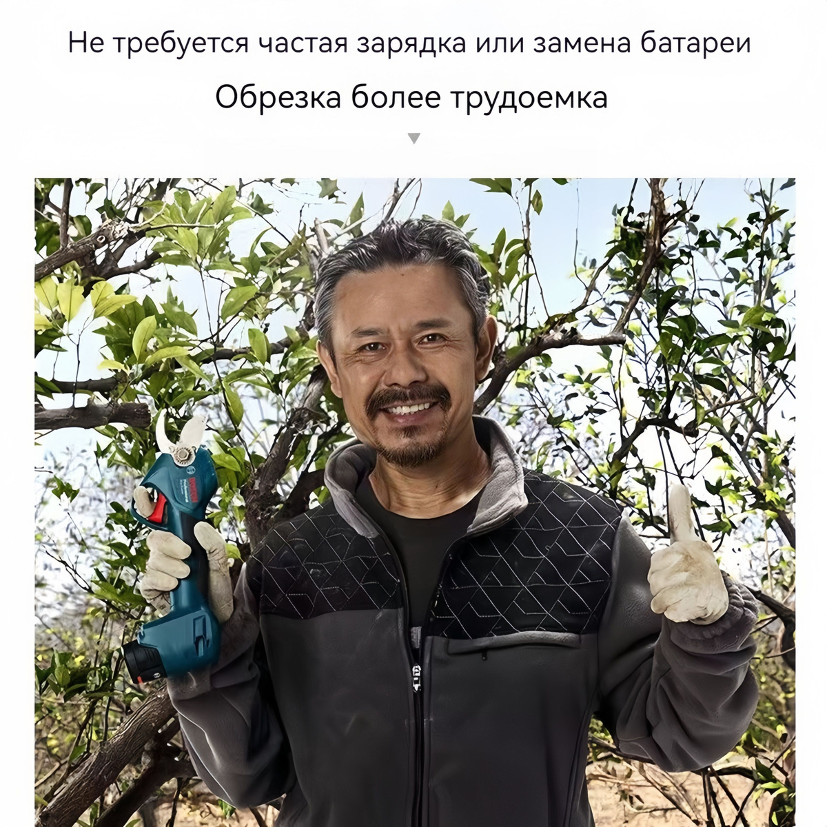 Bosch Pro Pruner Без батареек - купить по выгодной цене в интернет ...
