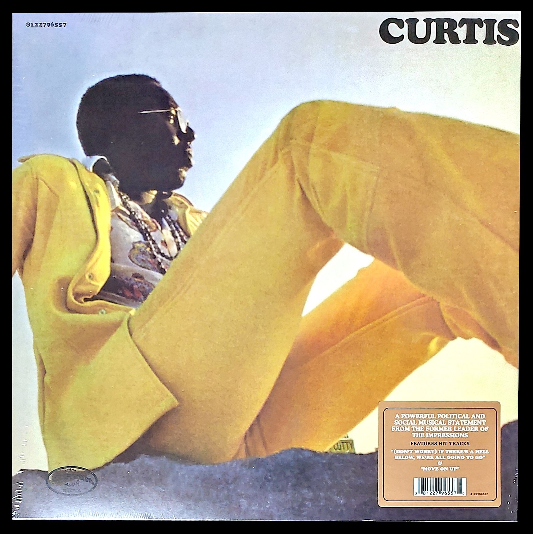 Виниловая пластинка Curtis Mayfield (LP, 2013, Curtom) купить на OZON ...