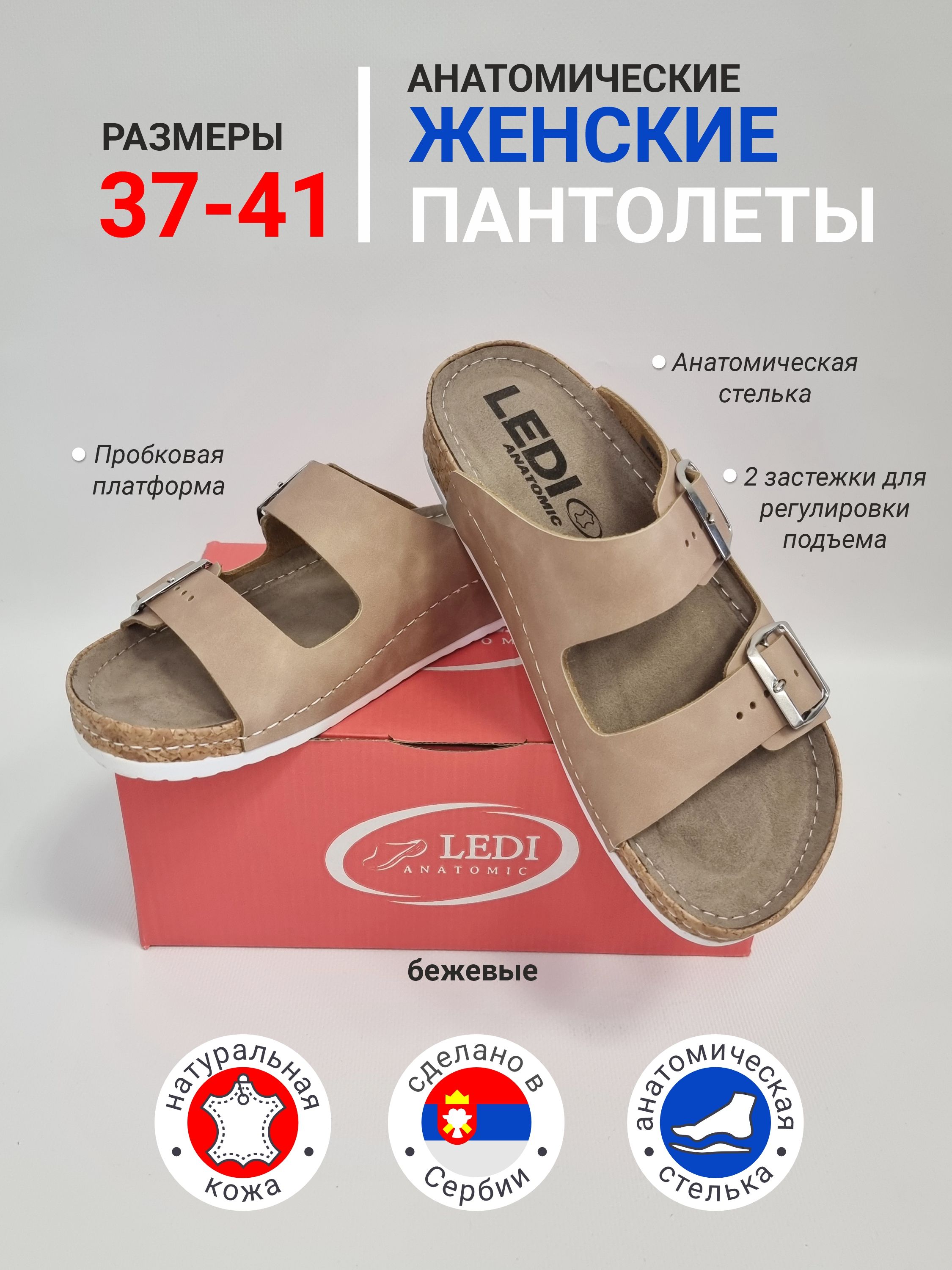 Шлепанцы Женский Ledi Anatomic, размер 39 Анатомическая стелька Пряжка ...