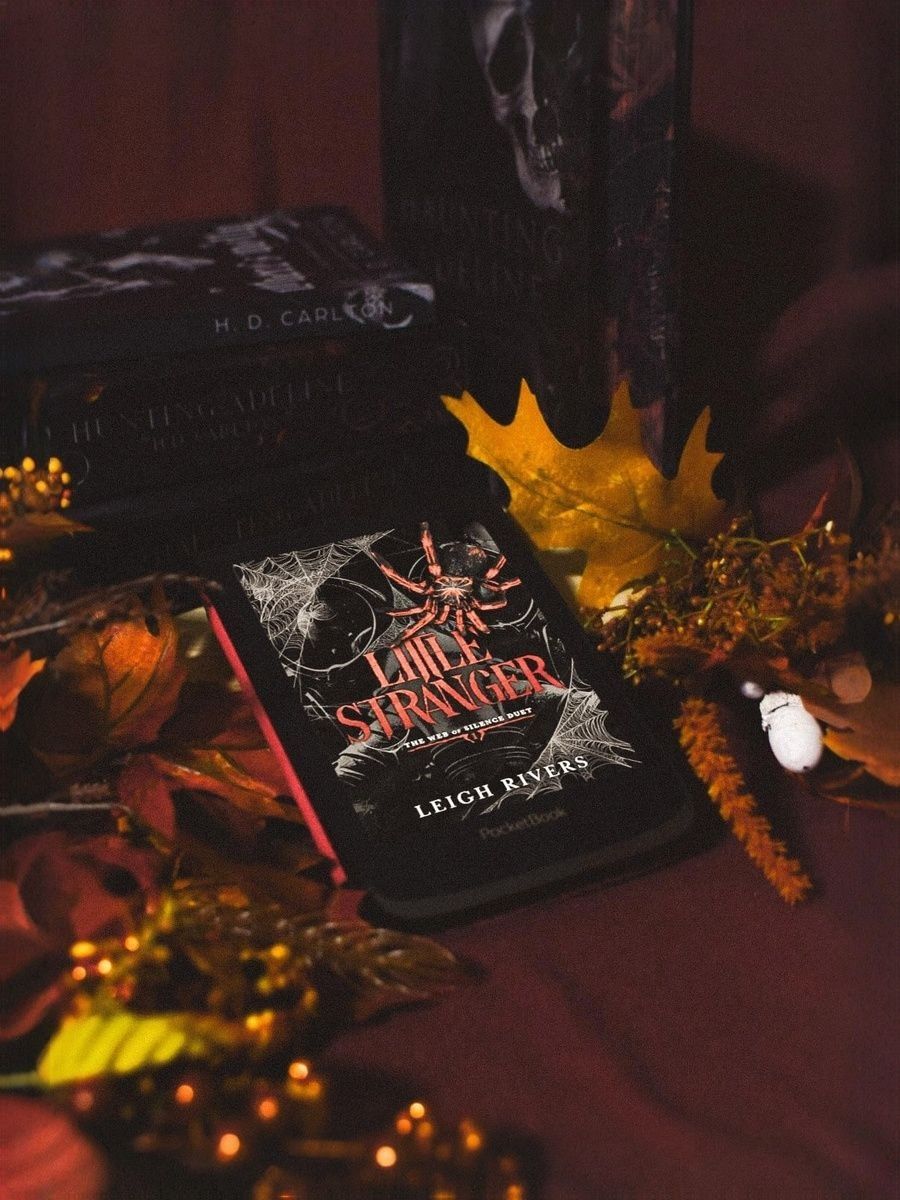 Little Stranger: A Dark Taboo Romance (The Web of Silence Duet) купить ...