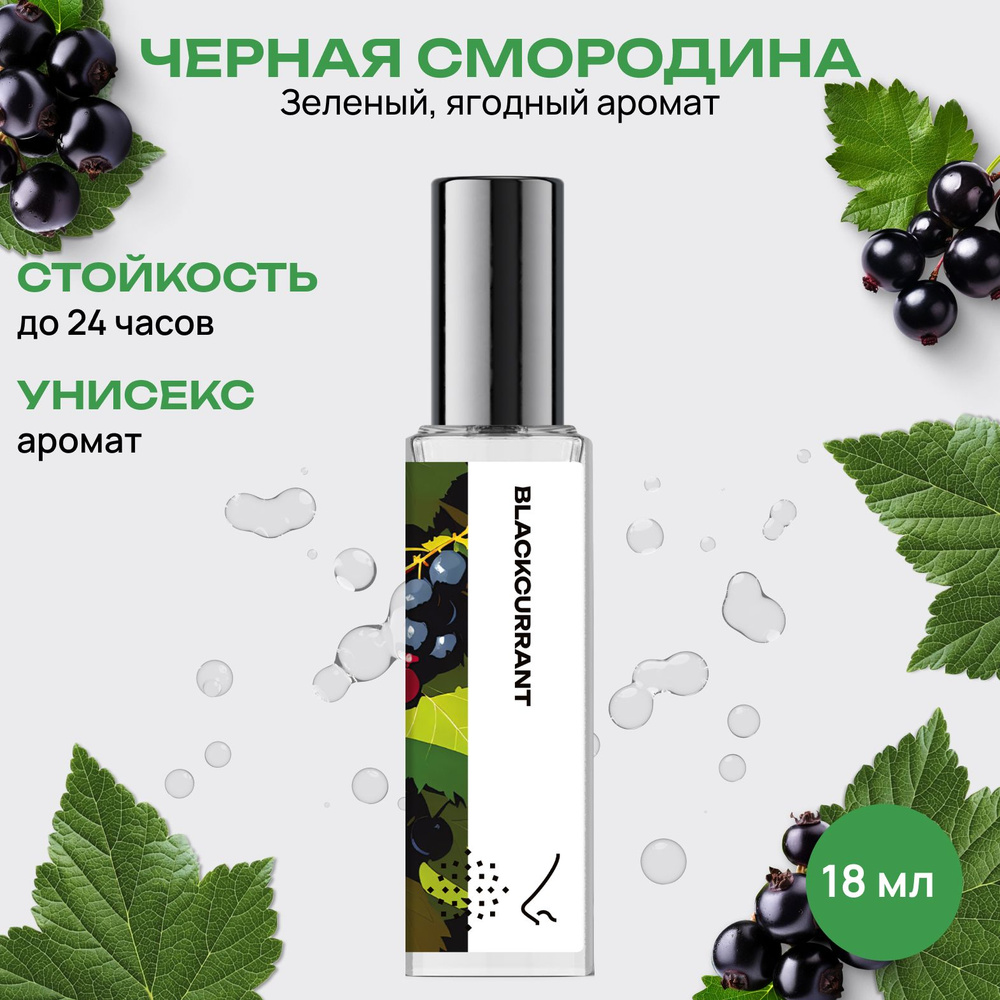 Библиотека ароматов (biblioteka aromatov) Черная смородина Парфюмерная ...