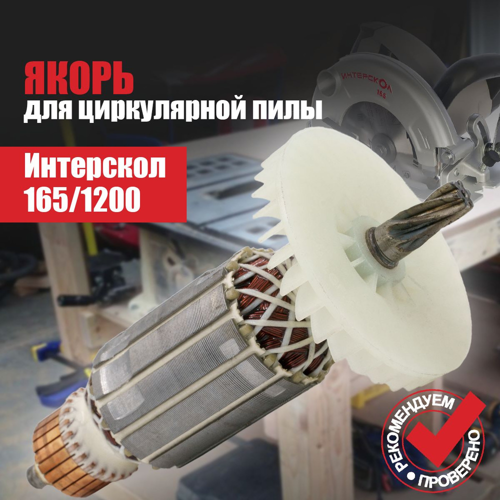 Ротор, якорь для циркулярной пилы Интерскол ДП-165/1200 - купить по ...