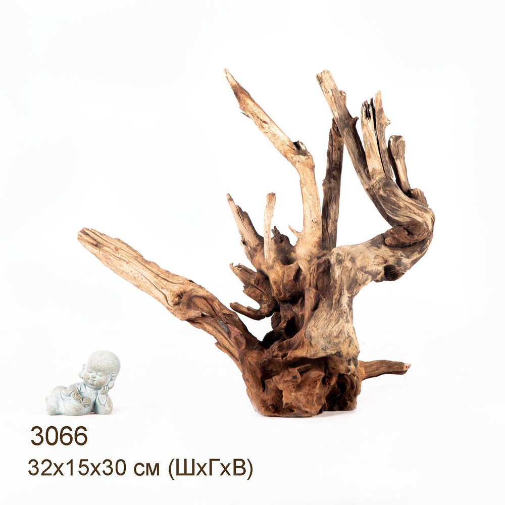 Коряга для аквариума натуральная. Мангровая - XL. Декорация MASHA BLOOM ...