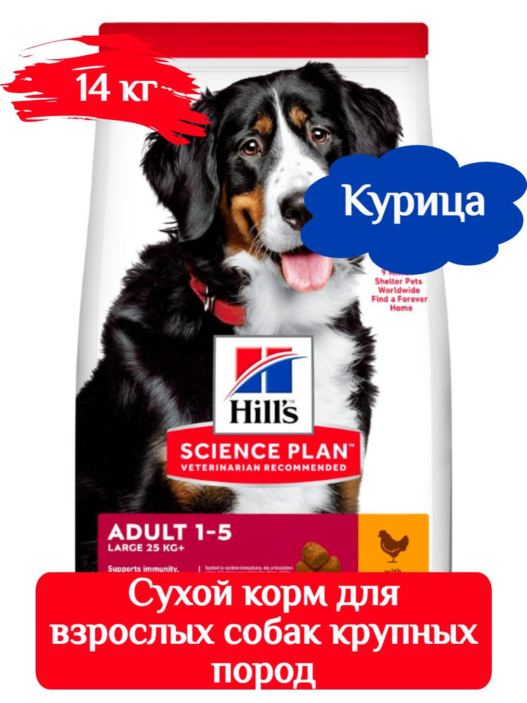 Hill's SP сухой корм для взрослых собак крупных пород, курица 14кг ...