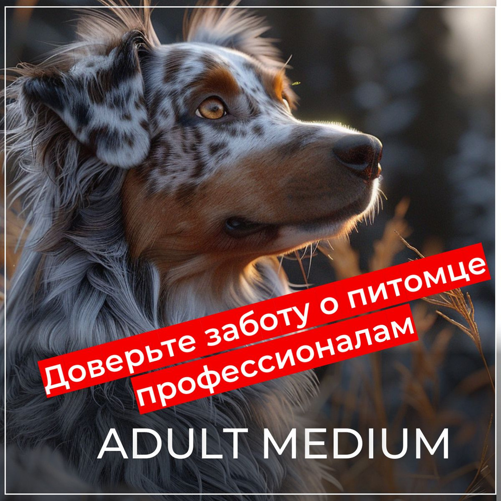 Корм сухой для собак средних и крупных пород Prestige Adult Medium ...