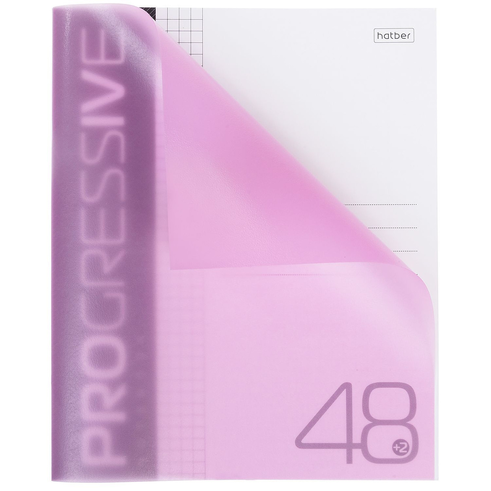 Тетрадь Hatber 5 штук с пластиковой обложкой, 48 листов А5 формата в клетку на скрепке ...