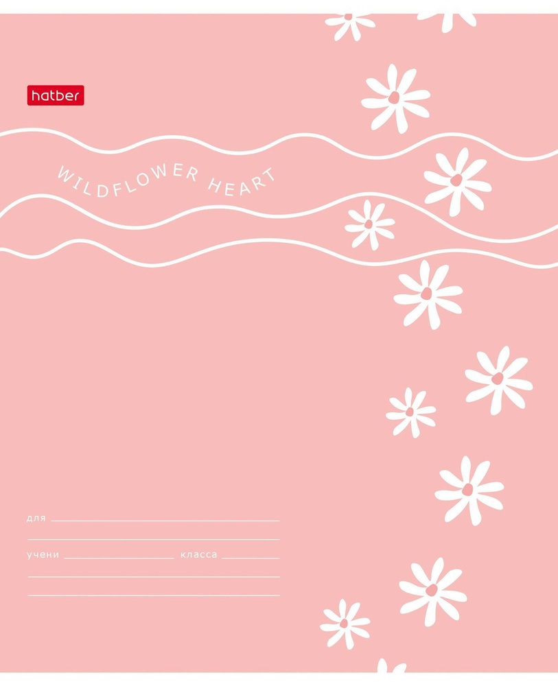 Набор тетрадей Hatber 10 штук/5 дизайнов, 18 листов, формата А5, в клетку, на скобе -Простые ...