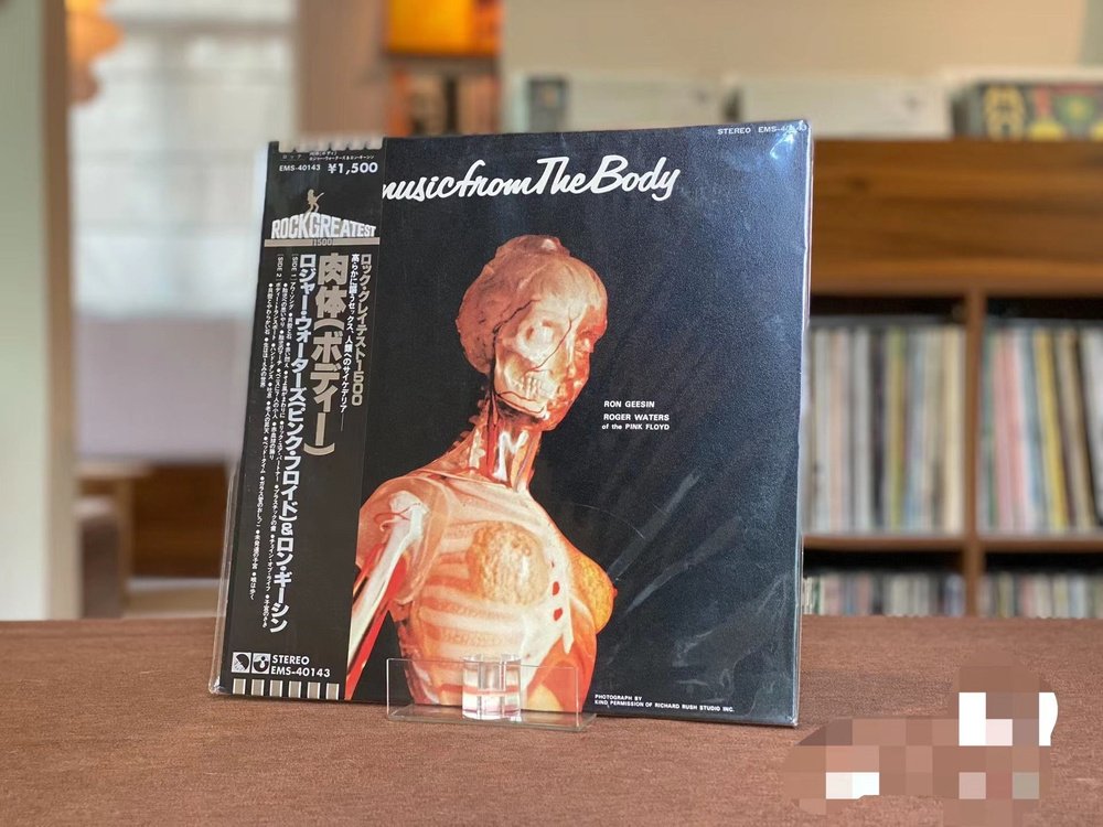 Виниловая пластинка Ron Geesin & Roger Waters Music From The Body ...