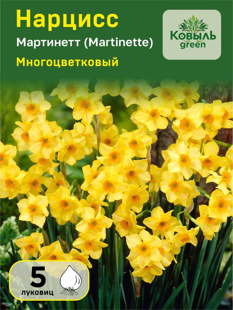 Луковицы нарцисса Martinette, многолетние (5 штук) купить на OZON по ...