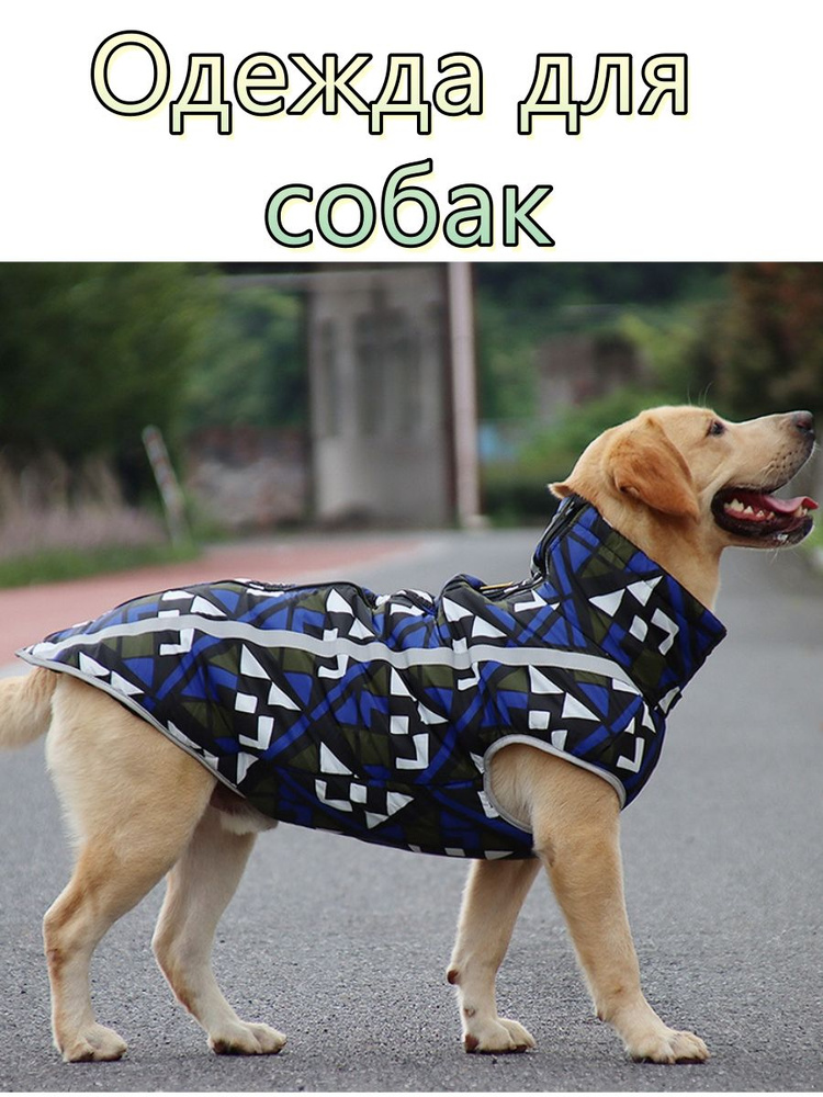 #шлейка_для_собак ,Предназначен для собак,зима,синий,6XL купить на OZON по низкой цене (3164345019)