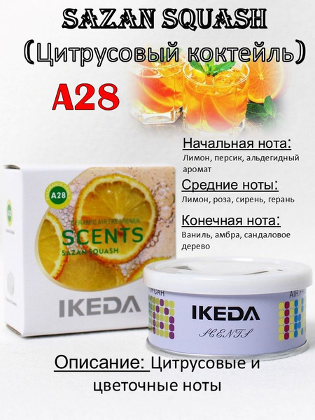 Ароматизатор для автомобиля меловой IKEDA A28 SAZAN SQUASH air spencer ...