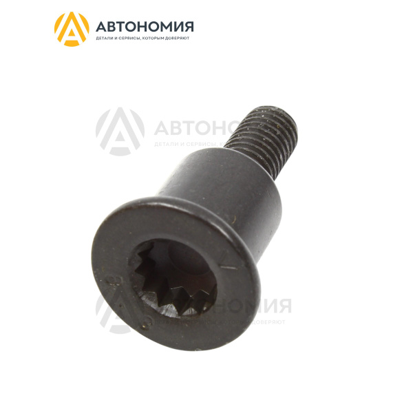 Болт автомобильный VAG (VW/Audi/Skoda/Seat), 1 шт. купить c доставкой ...