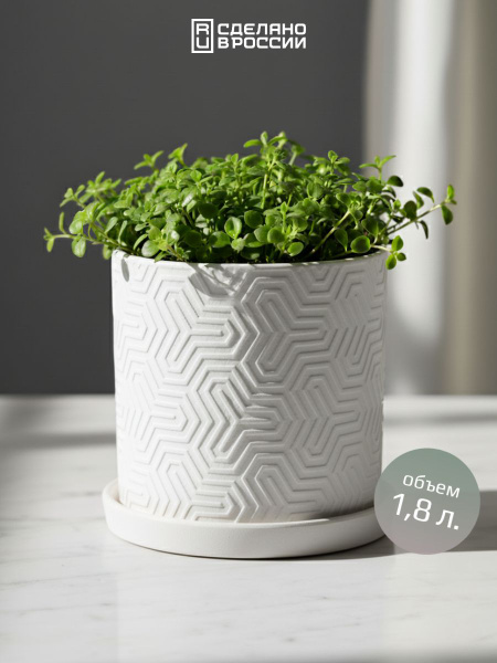 Miss Pots Горшок для цветов 1,8 л, 15 см, 1 шт, цвет белый купить на ...