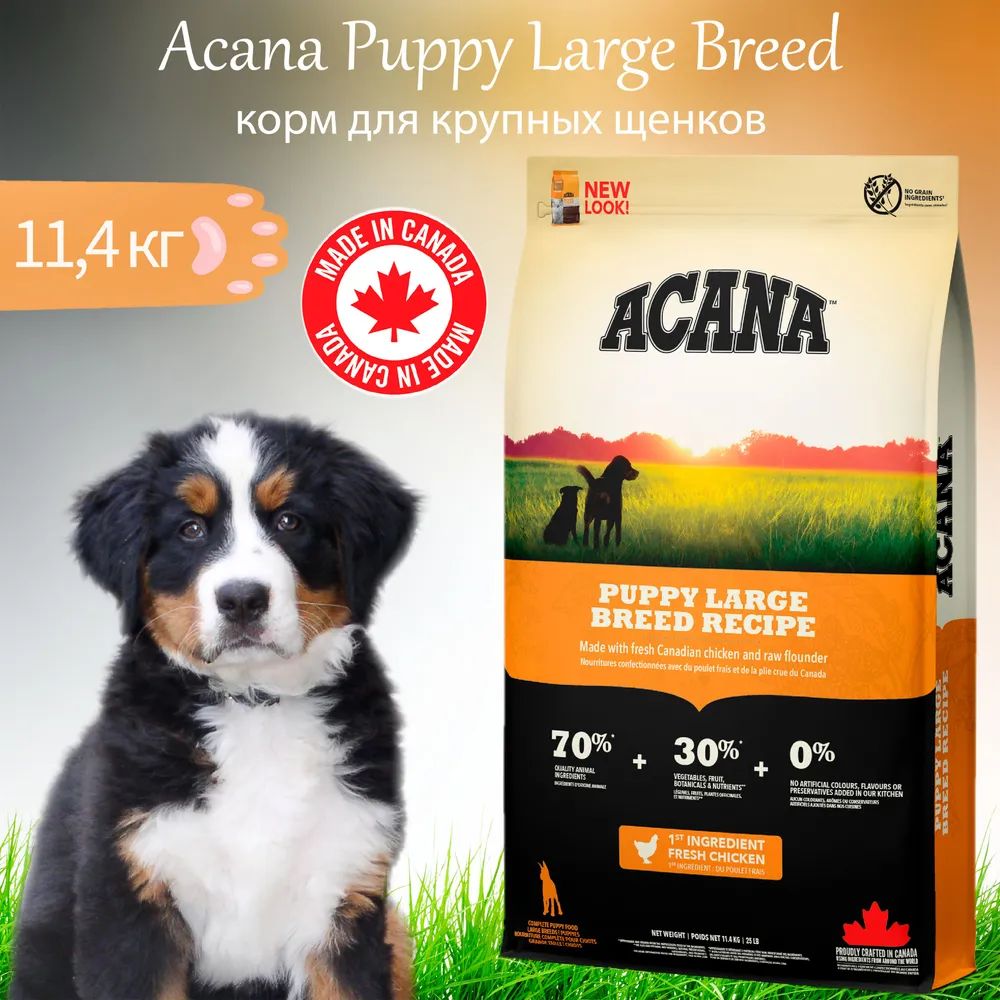 ACANA Puppy Large Breed беззерновой сухой корм для крупных щенков 11,4 ...