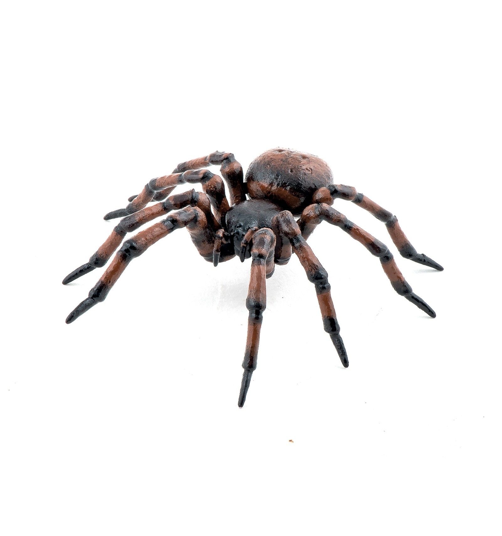 Фигурка Common spider Papo 50292 (Wild animal kingdom) купить на OZON ...