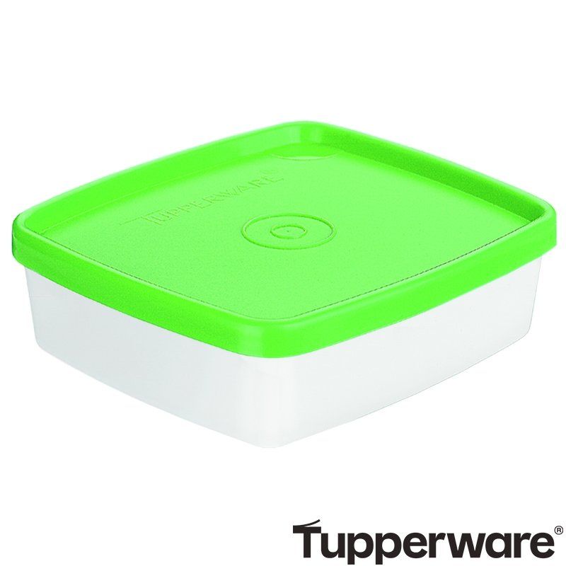 Контейнер Хранитель (250 мл) Tupperware купить на OZON по низкой цене ...