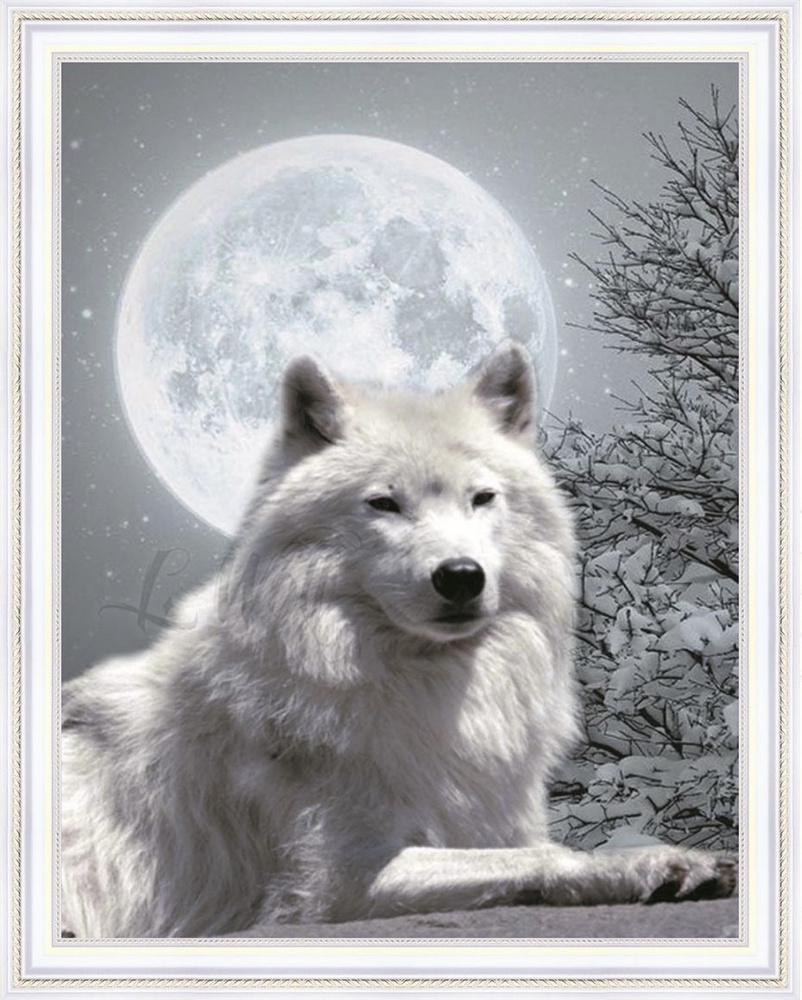 Алмазная мозаика на подрамнике 40*50 Волк черно-белые / Вышивка ...