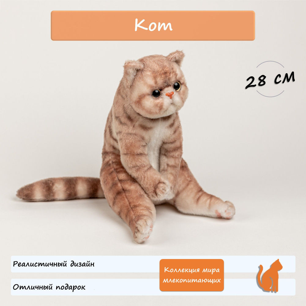 Мягкая игрушка кот котенок плюшевый котик реалистичная 28 см купить на ...