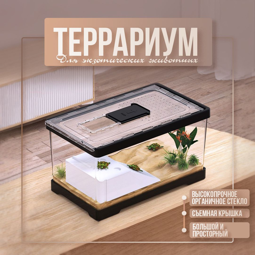 Террариум с крышкой для рептилий, пауков, улиток, богомолов, палочника ...