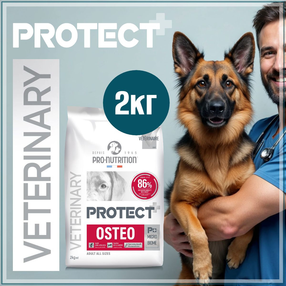 NEW Сухой корм Protect Osteo, ветеринарная диета для собак с ...