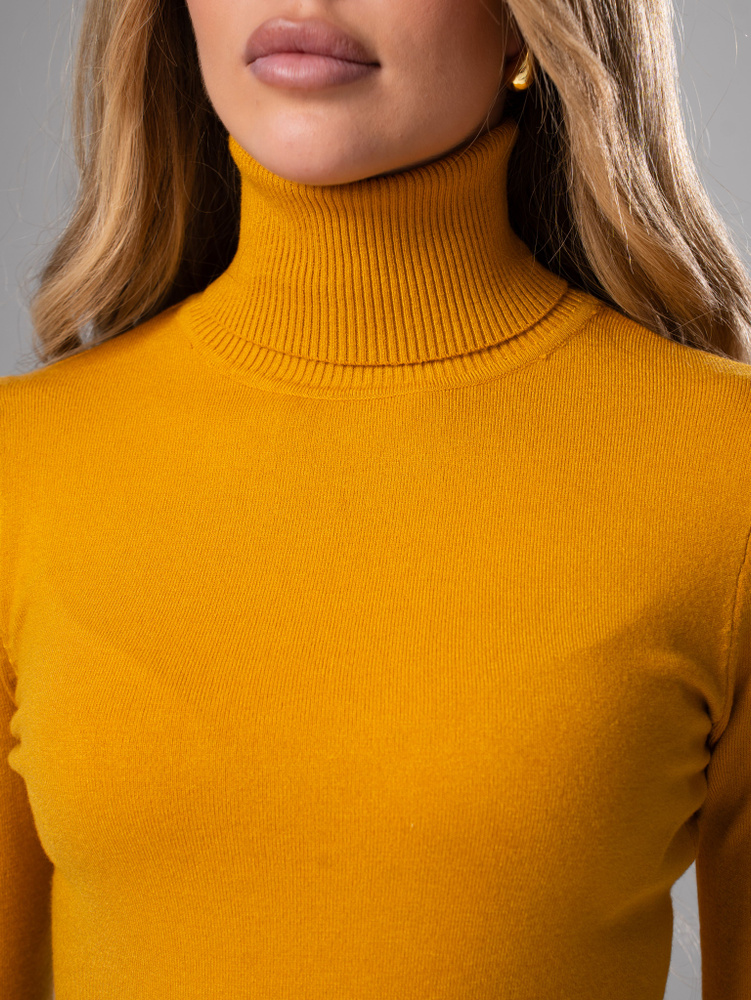 Водолазка BOOKLIN Водолазки купить на OZON по низкой цене (411394267)