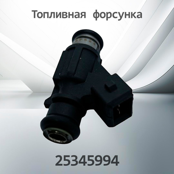 Топливная форсунка GREAT WALL HOVER 25345994 купить на OZON по низкой ...