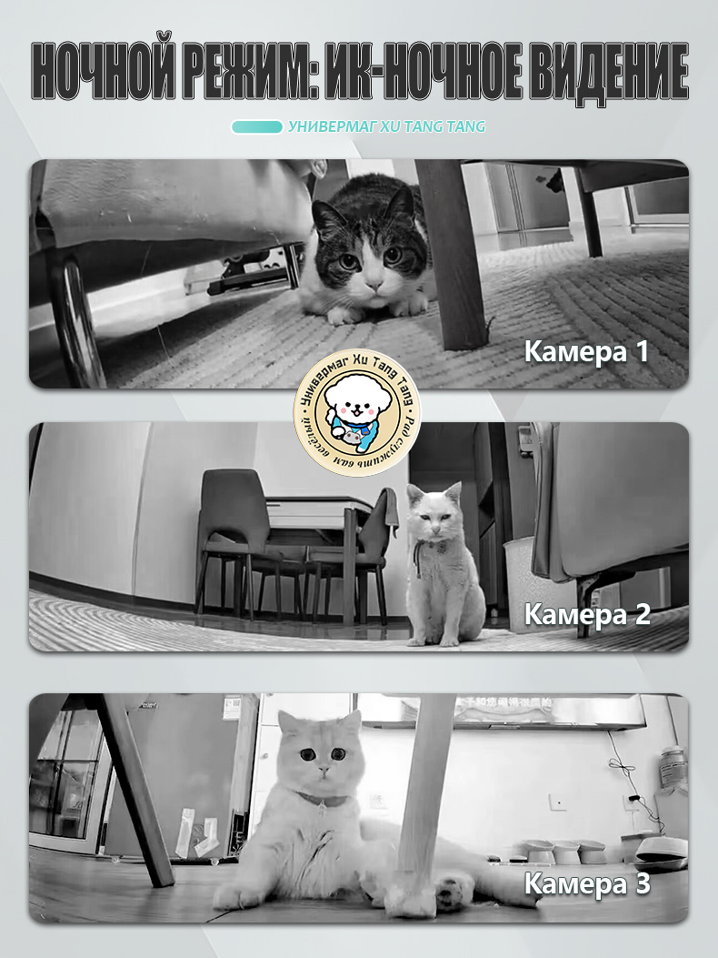 Видеоняня для животных купить на OZON по низкой цене (2335198072)