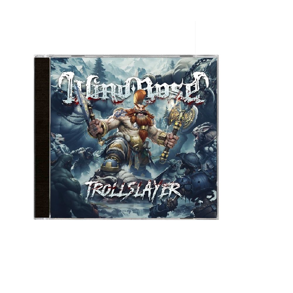 WIND ROSE. Trollslayer (компакт-диск) купить на OZON по низкой цене ...