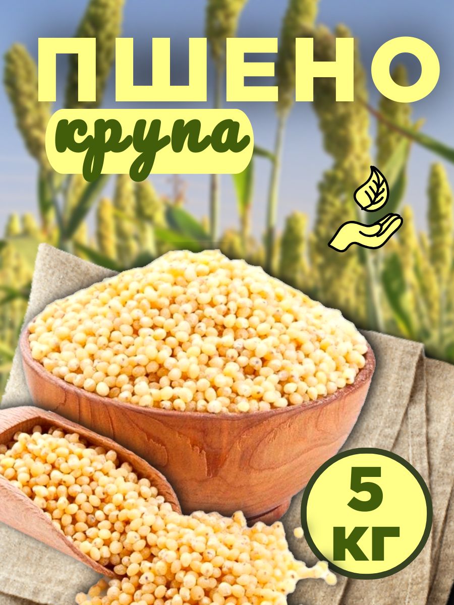 Пшено шлифованное 5кг купить на OZON по низкой цене (1723714061)