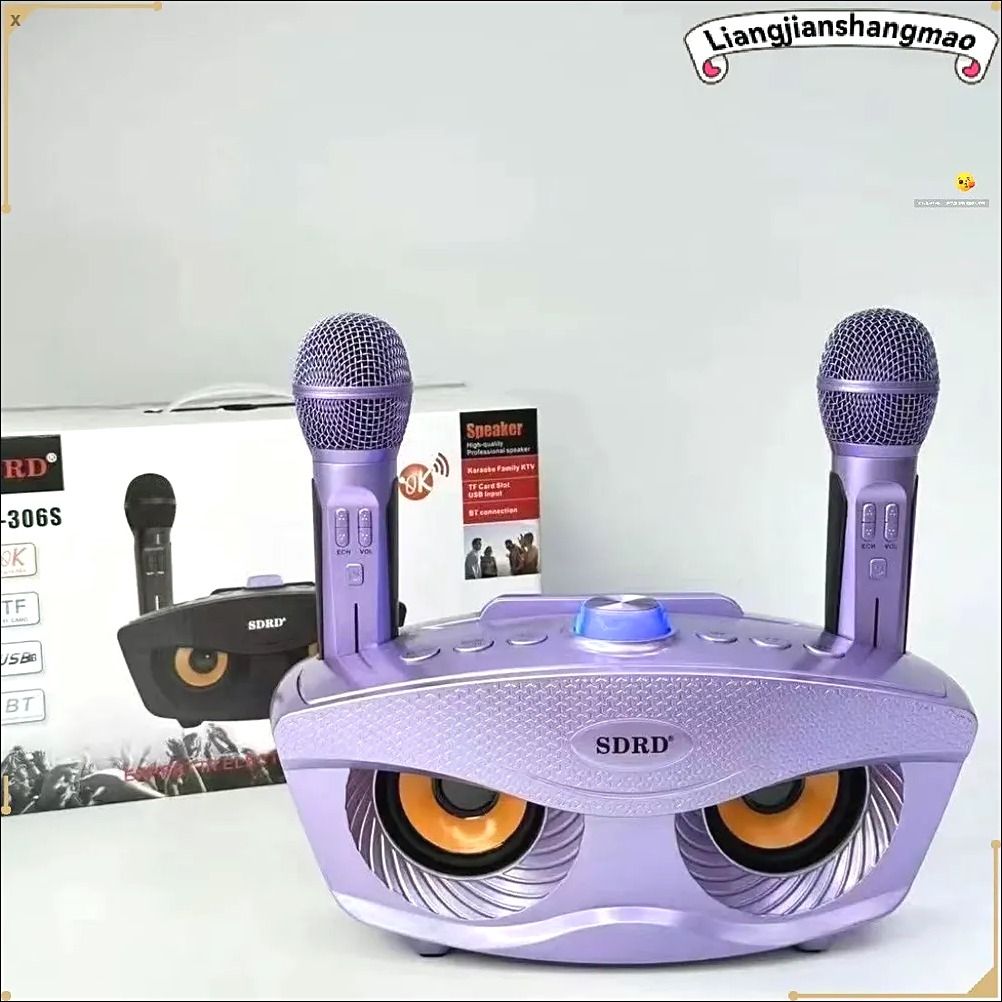Караоке система беспроводная с двумя микрофонами SDRD SD-306 Plus Серый ...