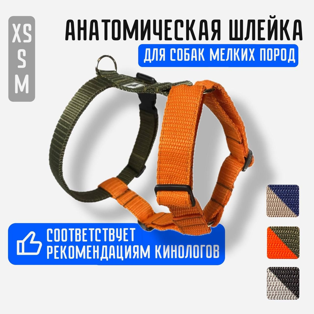 Анатомическая шлейка для собак мелких пород - купить с доставкой по ...