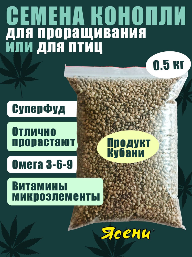 Семена конопли 500гр отборные для проращивания в пищу - купить с ...