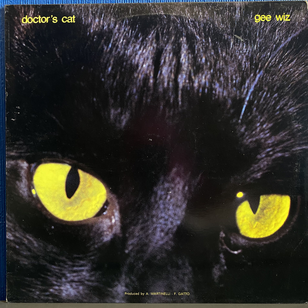 Doctor's Cat. Gee Wiz (Italo Disco) NM ПЕРВЫЙ ПРЕСС 1984 LP Виниловая ...