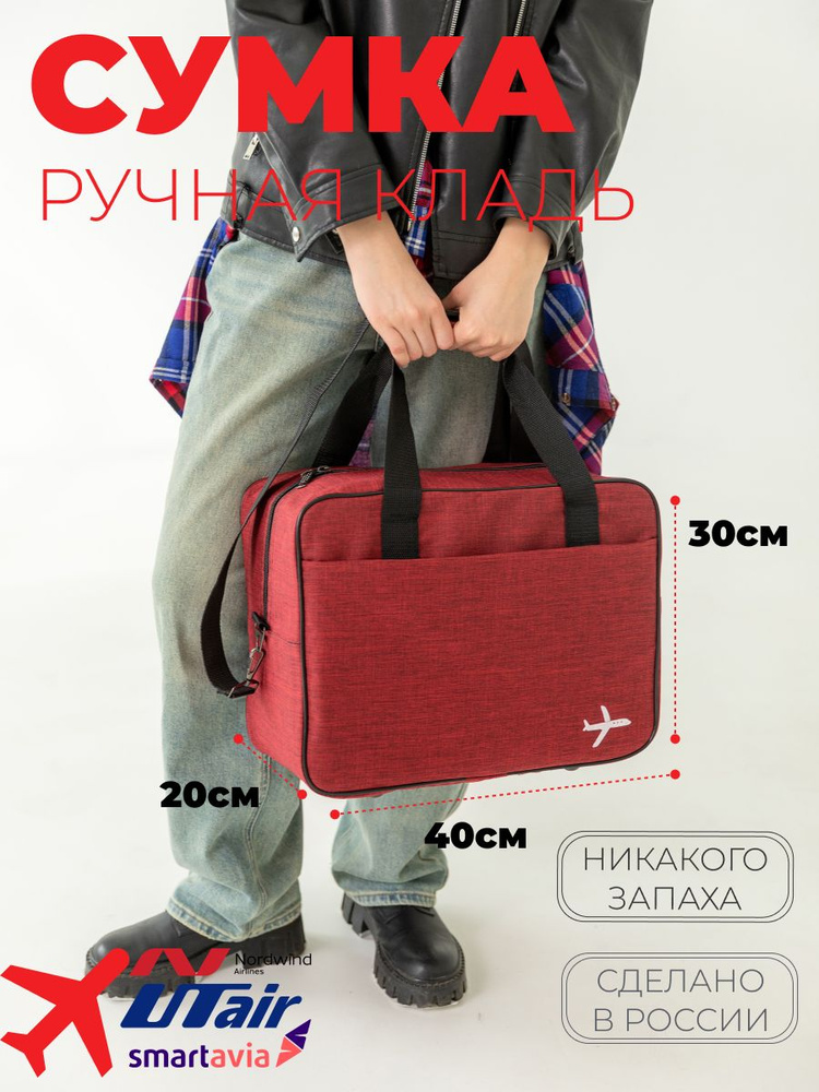 Сумка Ручная кладь 40х30х20 см купить на OZON по низкой цене (640846114)