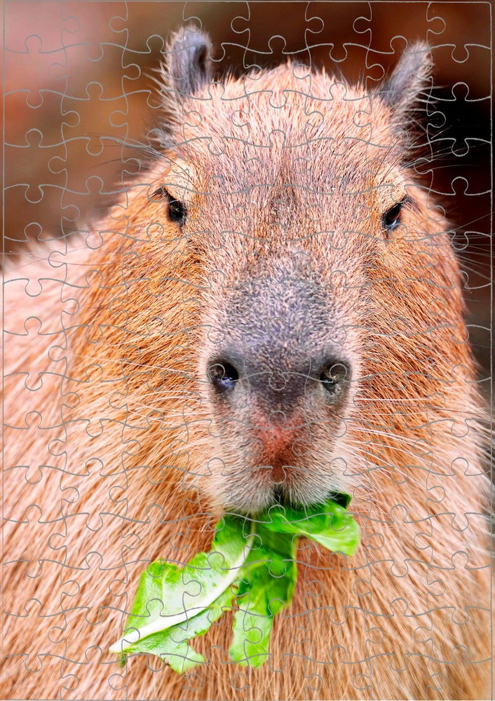 Пазл MIGOM А4 "Capybara v2, Капибара" - v0009 - купить с доставкой по выгодным ценам в интернет ...