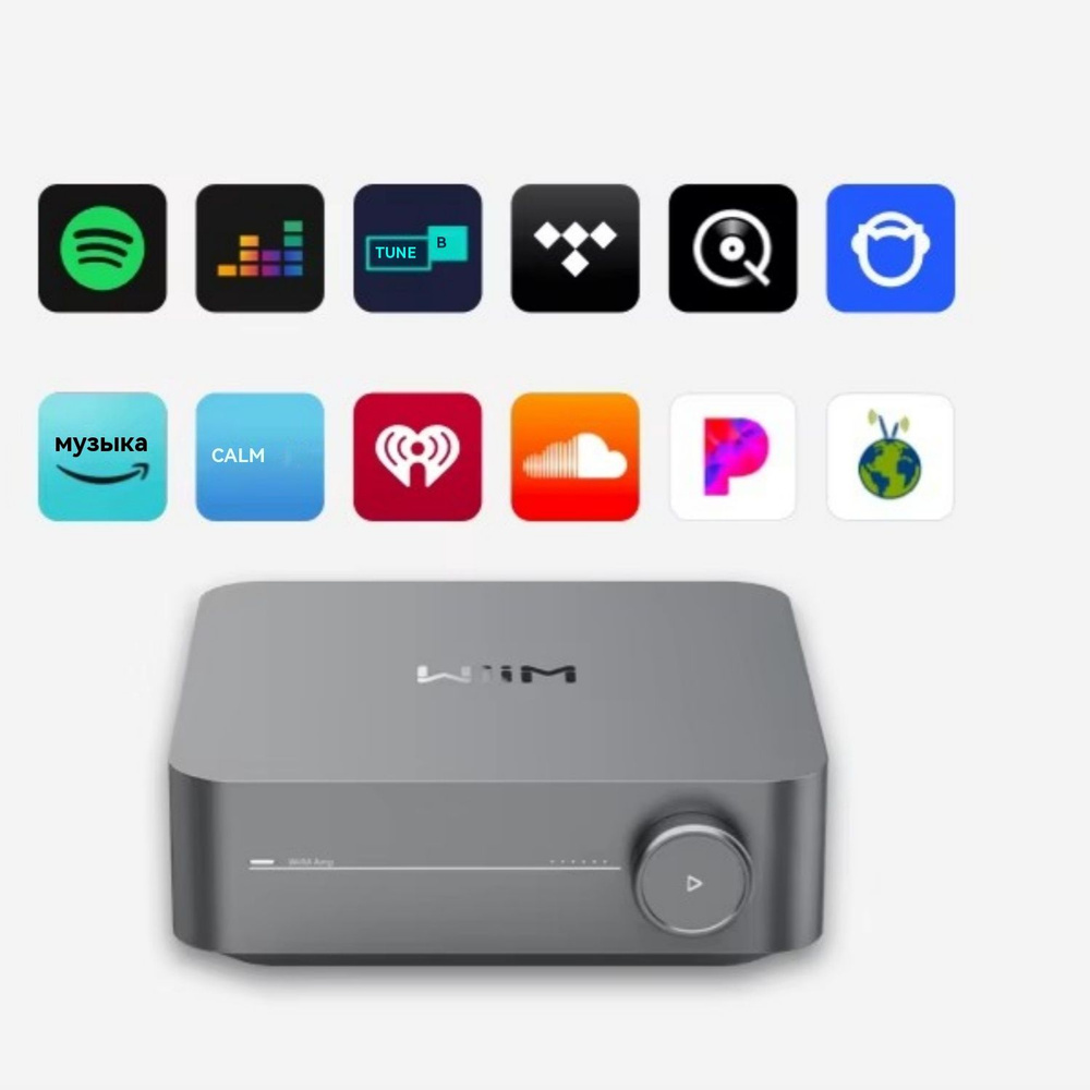 wiim amp airplay 2 беспроводной аудиоприемник hi-fi hifi sharer WIFI bluetooth купить на OZON по ...