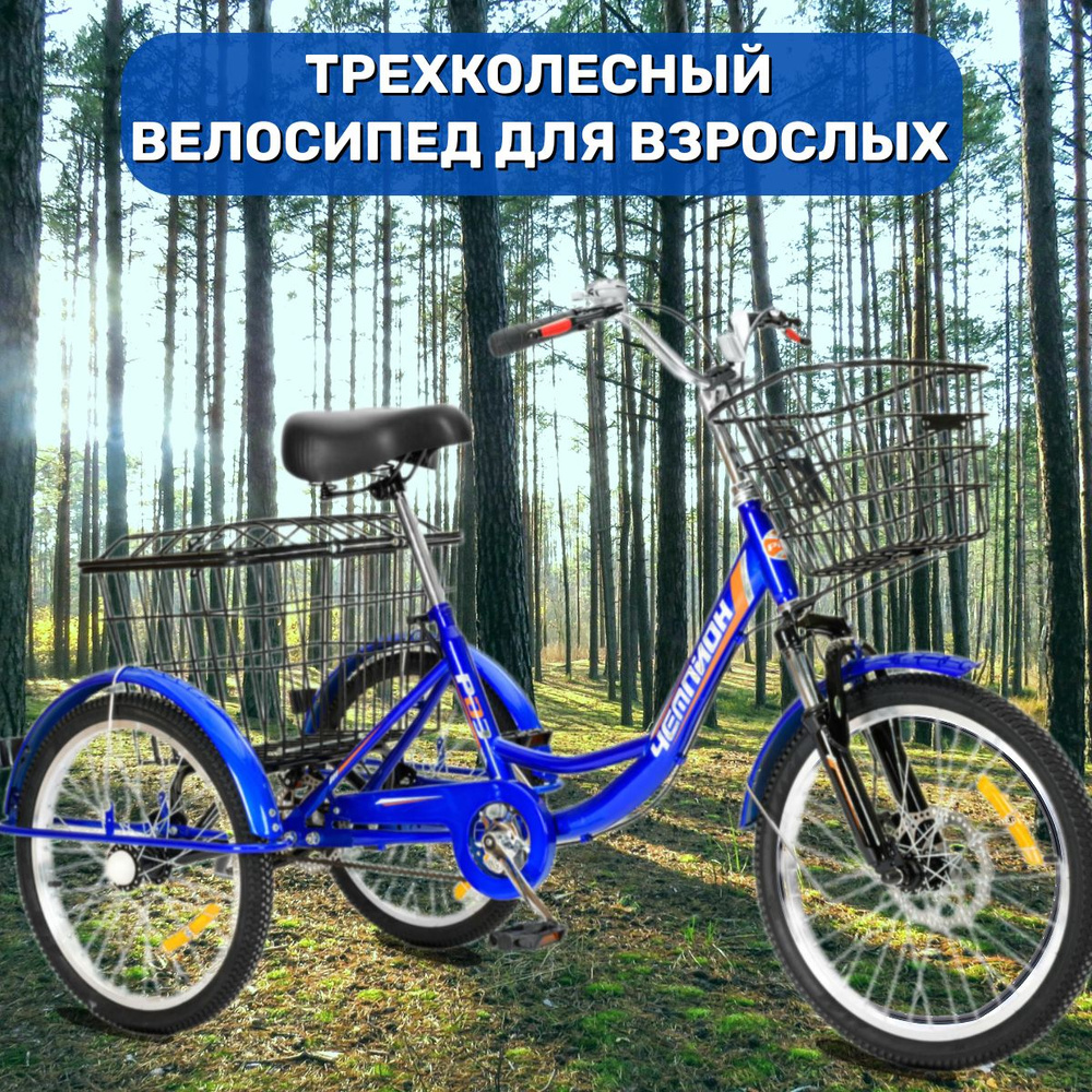 Трехколесный велосипед взрослый синий РВЗ Чемпион 20 - купить по ...