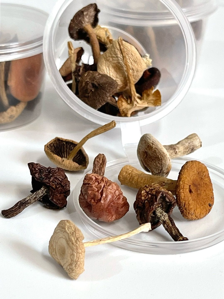 Грибы сухие, среднего размера, ассорти 20 шт, 30 мл. Сухоцветы для эпоксидной смолы. купить на ...