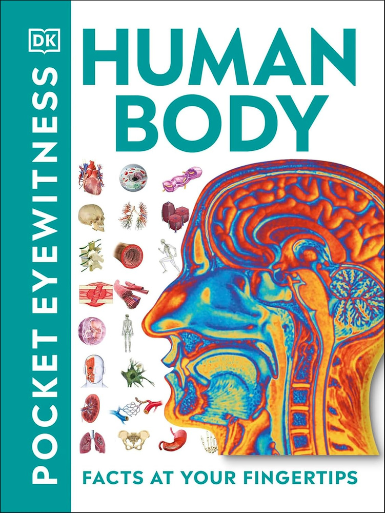 Human Body (Pocket Eyewitness) купить на OZON по низкой цене (3154630490)