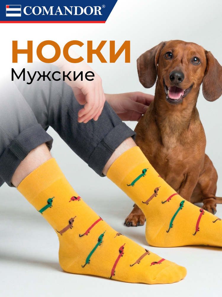 Носки Comandor , с принтом Таксы, 1 пара, мужские, для бега, беговые ...